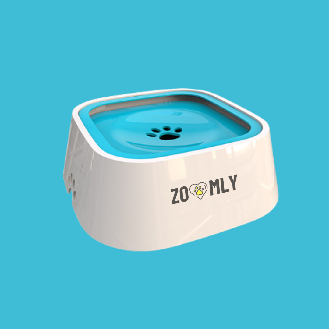 Zoomly™ - Ciotola per cani – ZOOMLY
